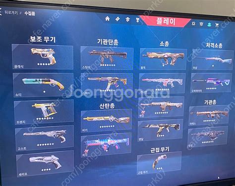 발로란트 21챔셋 22챔팬 등 다수 스킨 장패드 게임타이틀 중고나라