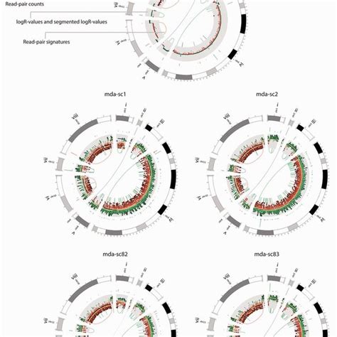 Detection Of Imbalanced Structural Variants By Paired End Mapping Of Download Scientific