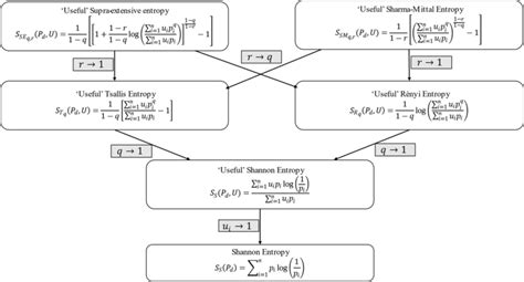shows the relations between generalized ‘useful entropies and