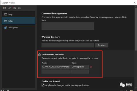 ASP NET Core 配置系列四 董川民