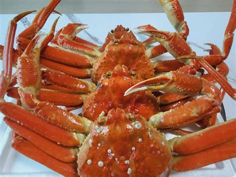 ㅇㅎ 러시아 단체 섹스 음식 여행 에펨코리아