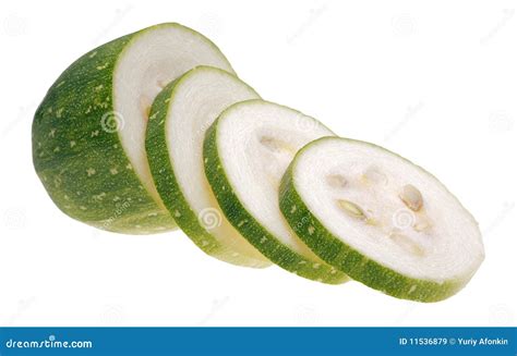 Vegetable Marrow Flower Stock Image 13644643