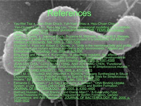 Streptococcus Mutans Cell Ppt