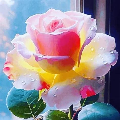 Tabassum Shoaib Drtabassum • Threads Say More