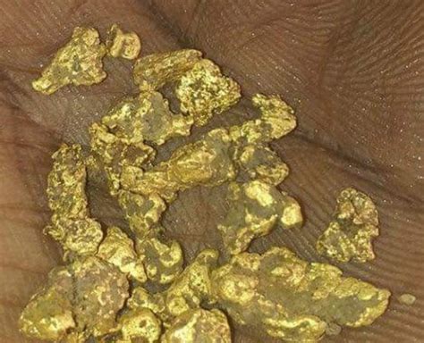 Getting A Grip On Somalia S Gold Rush In Milxo