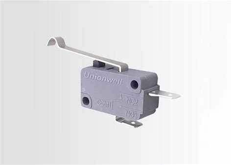 G5T16 Micro Switch, Long Lever Arm Limit Switch China Factory