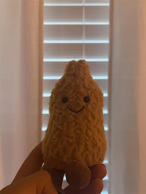 I Got The Peanut R Jellycatplush