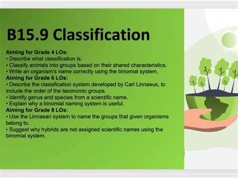 B15 9 Classification Teaching Resources