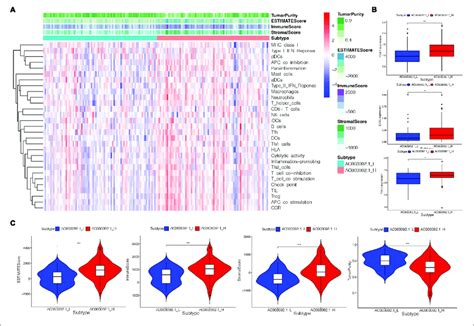 Immunogenomic Analysis Of Ac003092 1 H And Ac003092 1 L From Tcga Download Scientific
