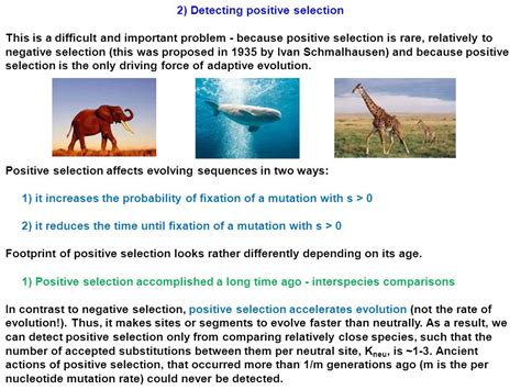 Topic 14 Lecture 20 Positive Negative And Balancing Selection In