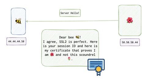 📚 Ssl And Tls Analyst