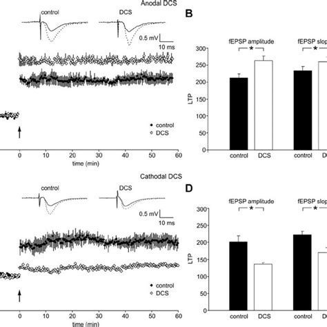 Anodal Direct Current Stimulation DCS Increases Whereas Cathodal DCS Download Scientific