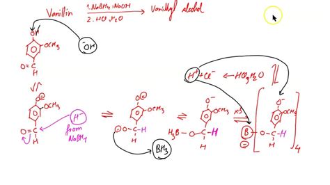 Solved Organic Chemistry Lab Nucleophilic Subsititution Reactions