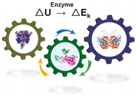 酶催化为微 纳米机器提供动力 Acs Nano X Mol