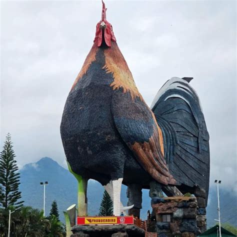 This Hotel In The Philippines Is The Worlds Largest Chicken Shaped