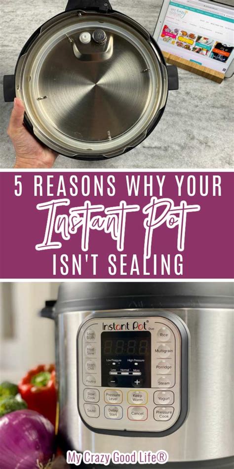 5 Reasons Why Your Instant Pot Is Not Sealing