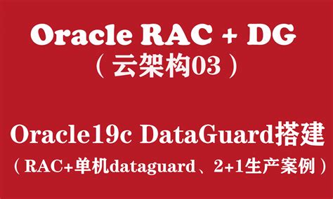 Oracle Racdg生产实战（3）：oracle19c Rac Dataguard搭建21 飞猫客