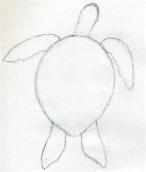 Easy Turtle Sketches