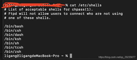 mac 每次都要执行source ~ bash profile 配置的环境变量才生效？？？zsh和bash的区别是什么？ mac