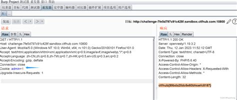 Ctfhub技能树（web）详解ctfhub技能树web Csdn博客