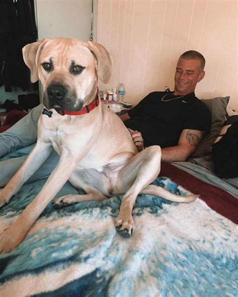 Hello My Name Is Milo Im A Weird Sitter