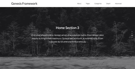 full screen scrolling sections in genesis using pagepiling js sridhar