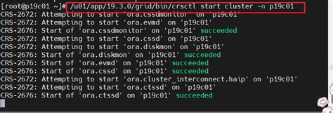 Oracle Rac集群启停oracle Rac 启停 Csdn博客