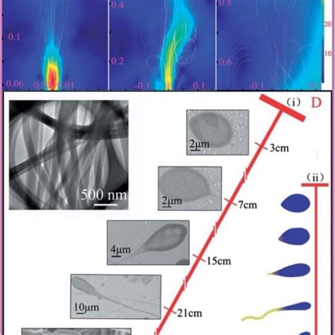 Fabrication Process Of Sio2 Nanofiber Aerogel Cnfas A Schematic Download Scientific Diagram