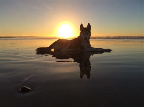 Sunset Reflection R Pics