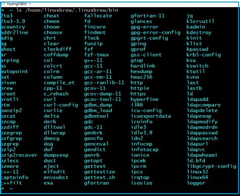 linux 上使用 homebrew 墨天轮