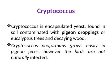 Cryptococcus Var Gattii Var Neoformans And Var Grubii Ppt