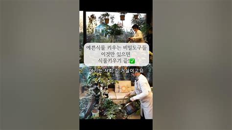 식물키우기 비밀도구들 이것만 있으면 끝 정원식물실내식물 Youtube