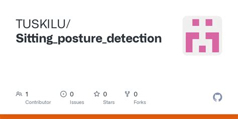 Github Tuskilu Sitting Posture Detection