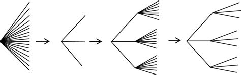 Forward Scenario Tree Generation Based On The K Means Approach