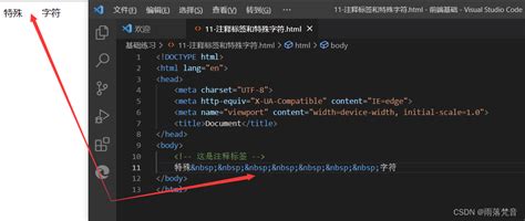 前端——9 注释标签和特殊字符 前端通过什么符号来注释代码不实现 csdn博客