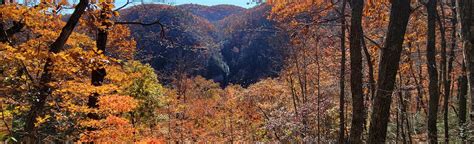 Raven Cliff Falls And Dismal Trail Loop South Carolina 2263 Reviews