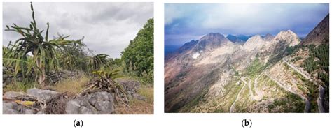 Forests Free Full Text A Review Of Ecosystem Service Trade Offssynergies Enlightenment For