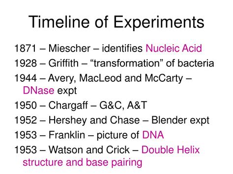 Ppt Dna Structure And Replication Powerpoint Presentation Free