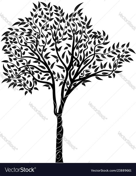 Eucalyptus Tree Design Royalty Free Vector Image