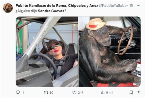 Los Memes De Sandra Cuevas Que Ha Dejado La Compra De Su Lujoso Vehículo Rzr Infobae
