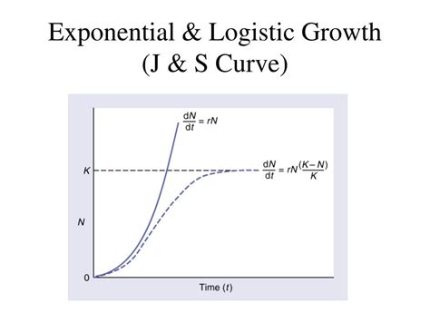 Ppt Population Dynamics Powerpoint Presentation Free Download Id 4035022