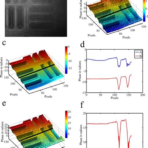 Pdf Realization Of Absolute Phase Unwrapping And Speckle Suppression