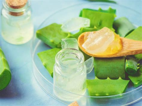 Candida Diet Guide Yeast Overgrowth Recipes And Tips