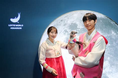 롯데월드 어드벤처·아쿠아리움·서울스카이에 달 띄운다 파이낸셜뉴스