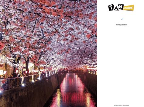 Stuck In Forwarding To Login Rauthentik