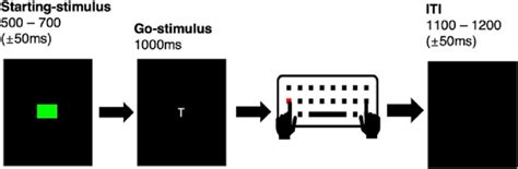 Schematic Representation Of The Trial Sequence Of The Training Choice
