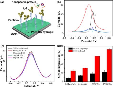 A Construction Of An Antifouling Igg Biosensor Based On Pani Ha Download Scientific Diagram