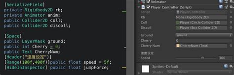 Unity 实用小技巧 Tips 代码整理 Inspector 里显示的脚本变量 哔哩哔哩
