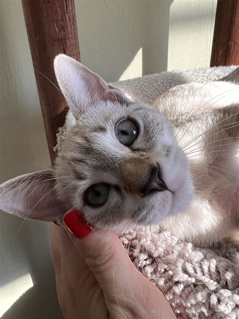 Molly Pills On Twitter This Week